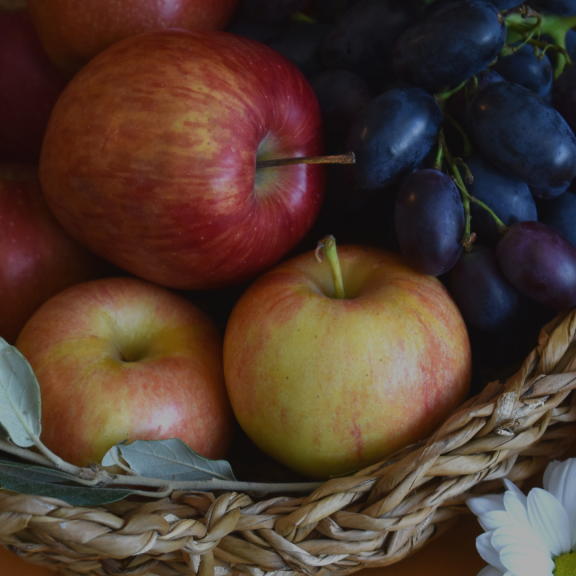 VT Peer Credentialing Center | Copeland Center